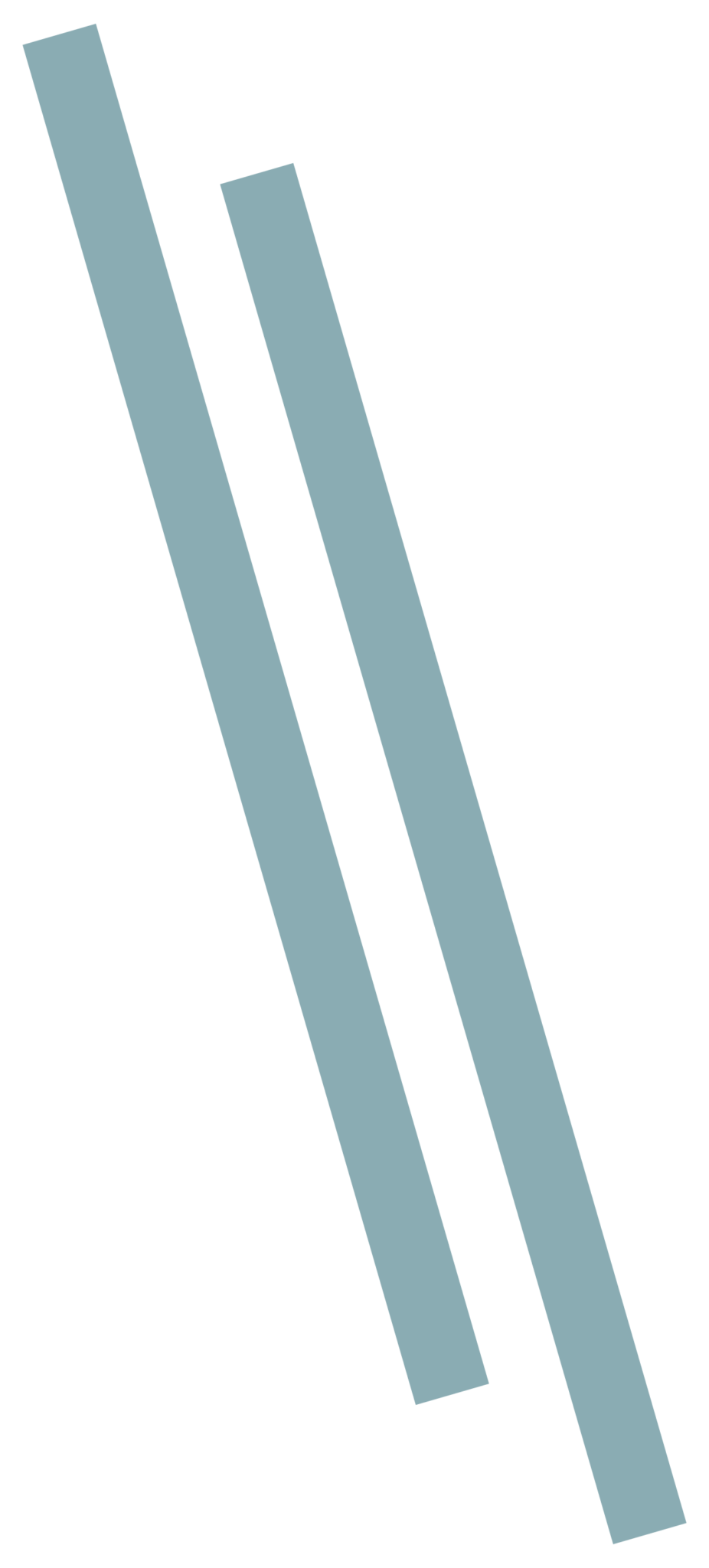 Meet the SKYLIGHT Team: Denver Events